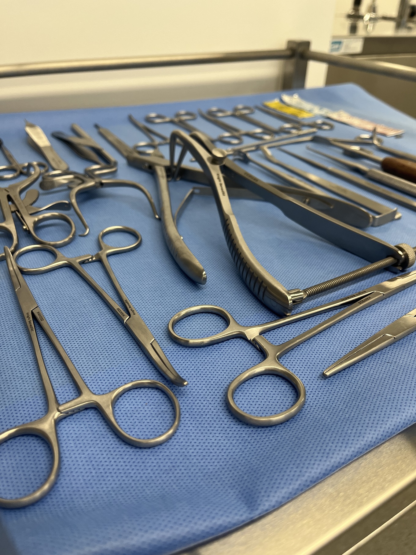 Extracapsular Cruciate Repair Sydney (October 2022) - Practical CPD