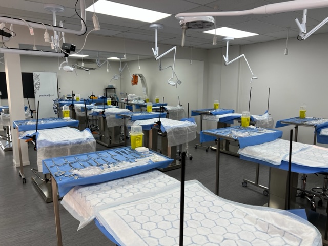 Brachycephalic Surgery Wet-lab NZ (March 2023) - Practical CPD