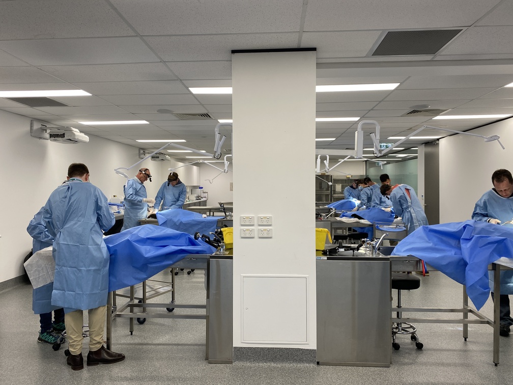 Meniscus Surgery Wet-lab NSW (May 2025) - Practical CPD